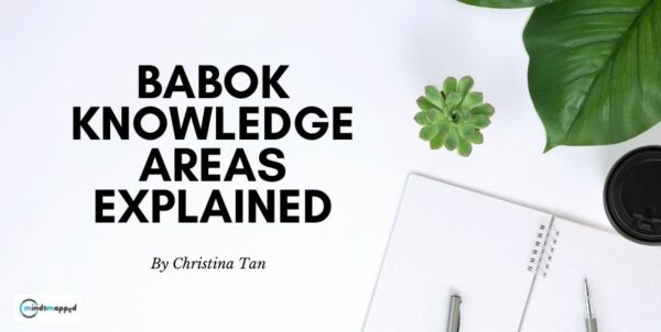 Business Analysis Knowledge Areas Explained as per IIBA BABoK | MindsMapped